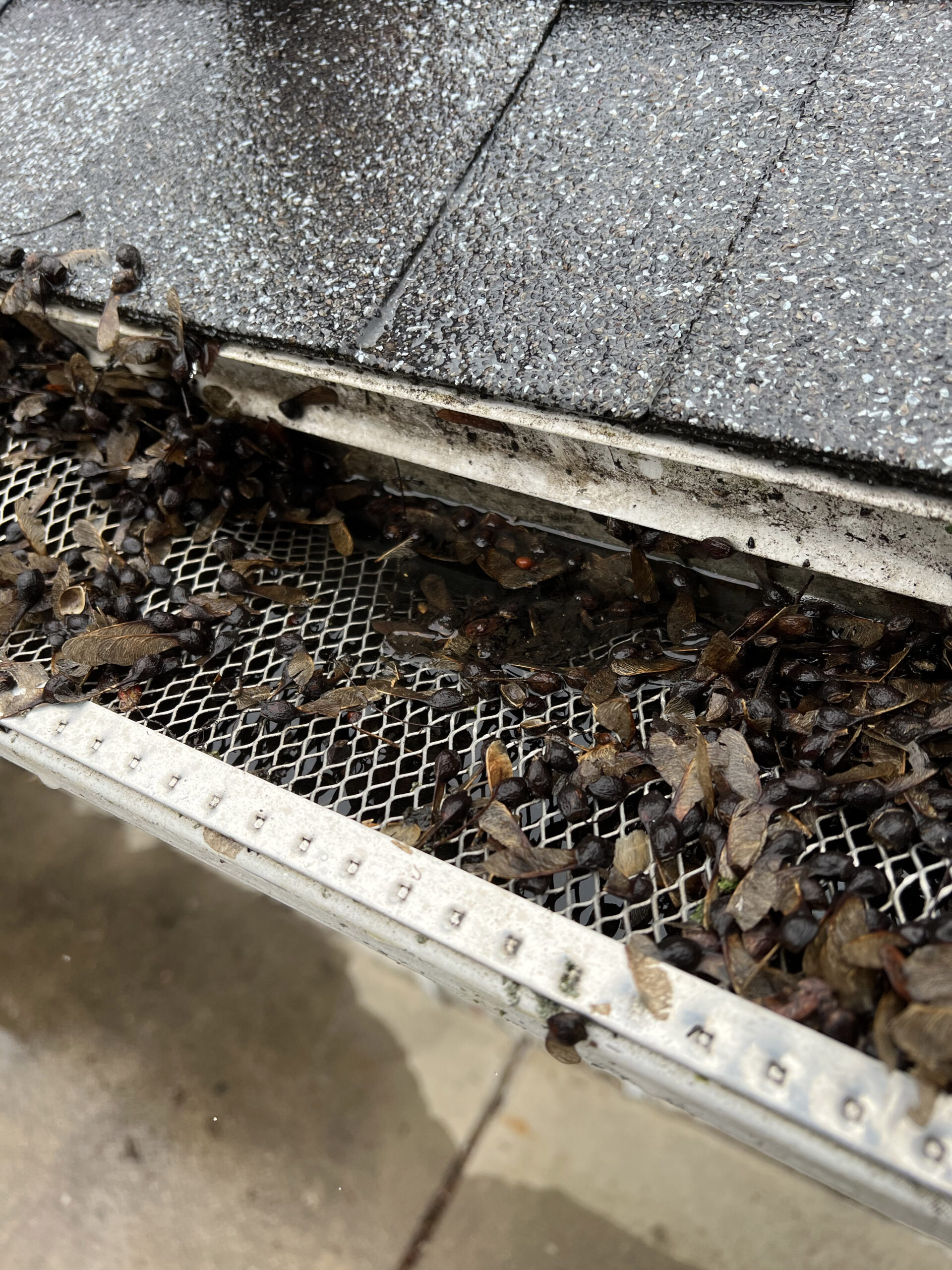 Residential Gutter Guards – Presley Gutter Cleaning
